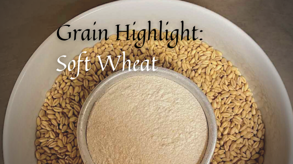 Grain Highlight: Soft Wheat - Marvel & Make
