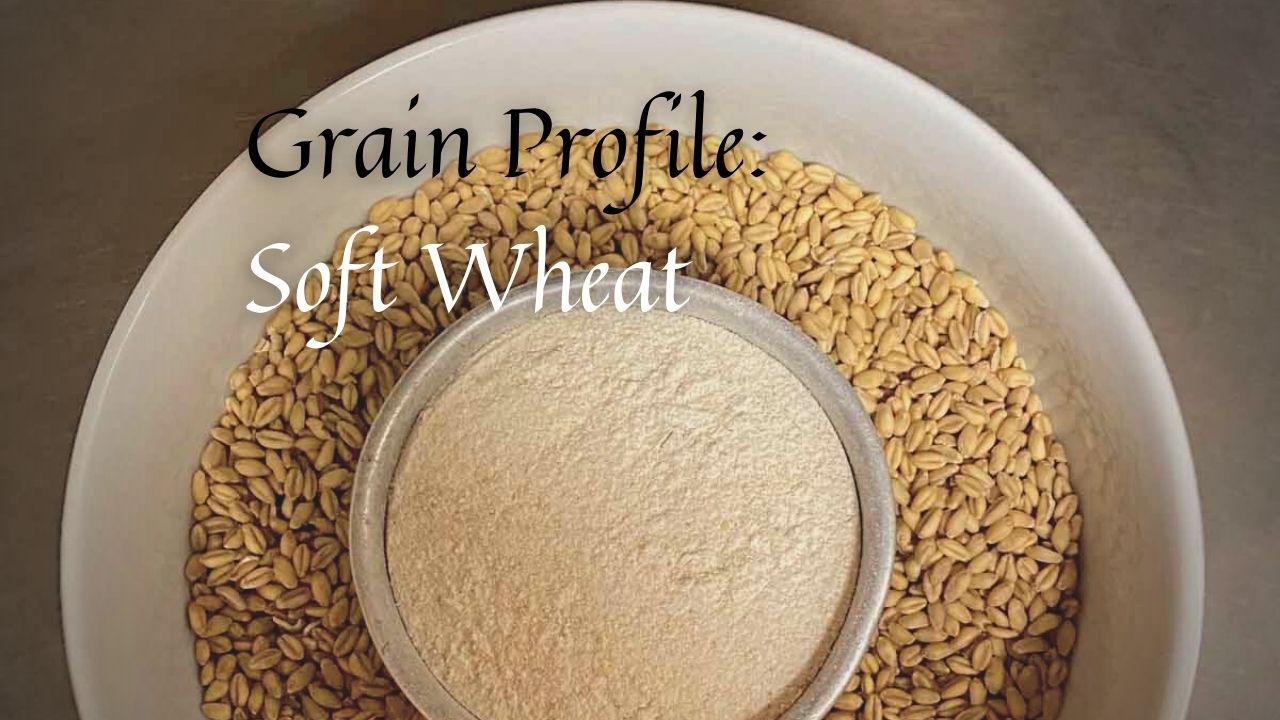 Grain Highlight: Soft Wheat - Marvel & Make