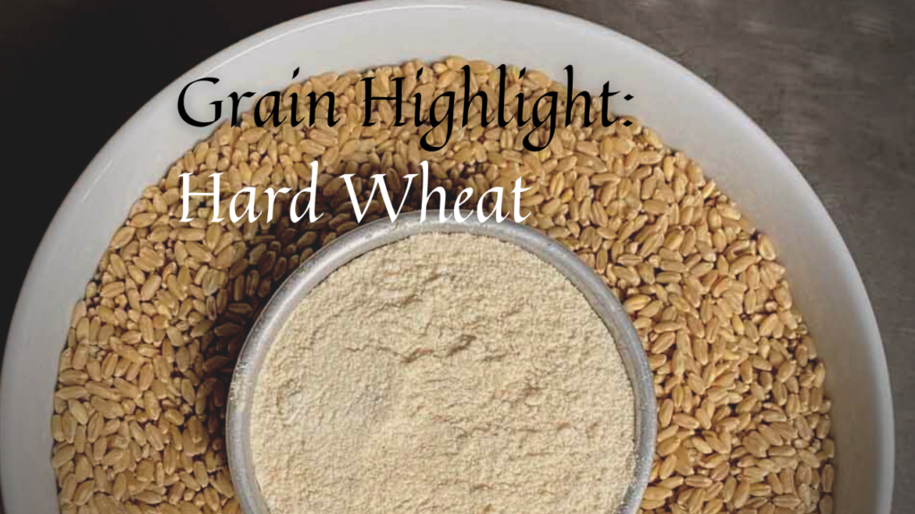 Grain Highlight: Hard Wheat - Marvel & Make